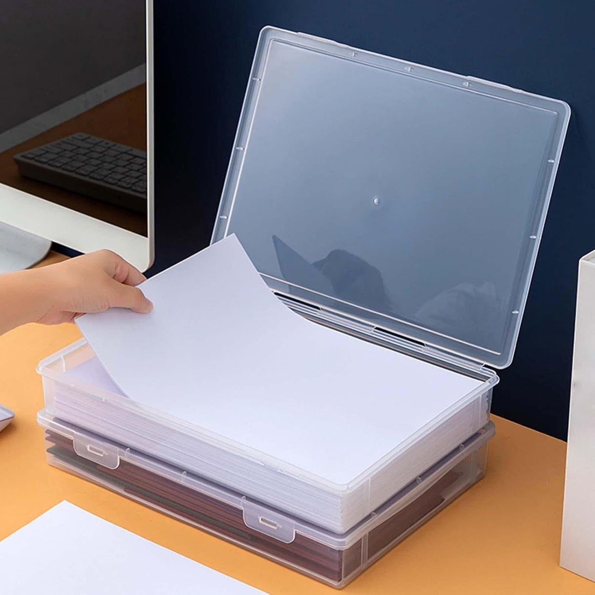 A4 Clear File Storage Box – WildTree